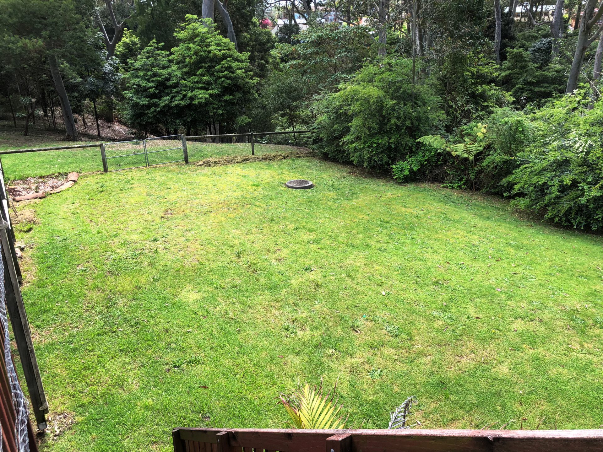 A Boring Garden – Creating Gardens From Scratch